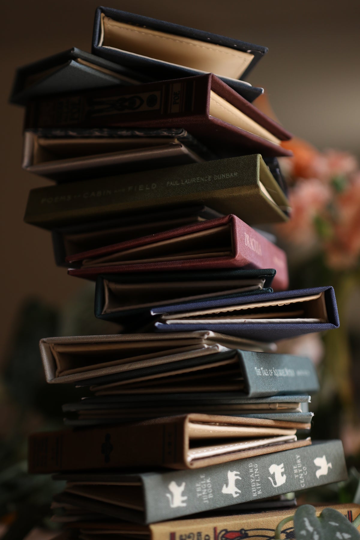 Bookwallet Library – Novelbookstore.co