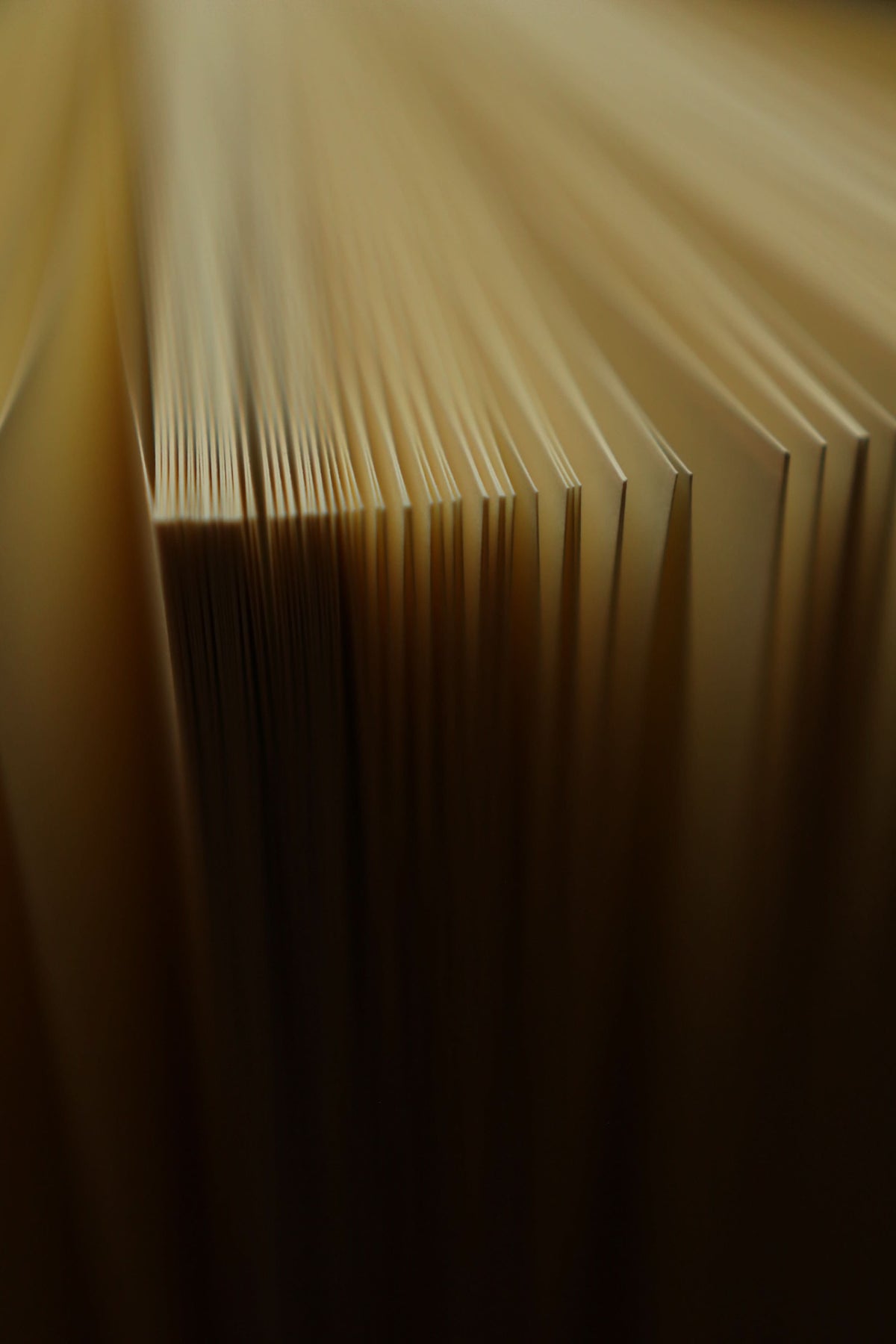 *Burn Book, Mean Girls 2004 Book Journal – Novelbookstore.co