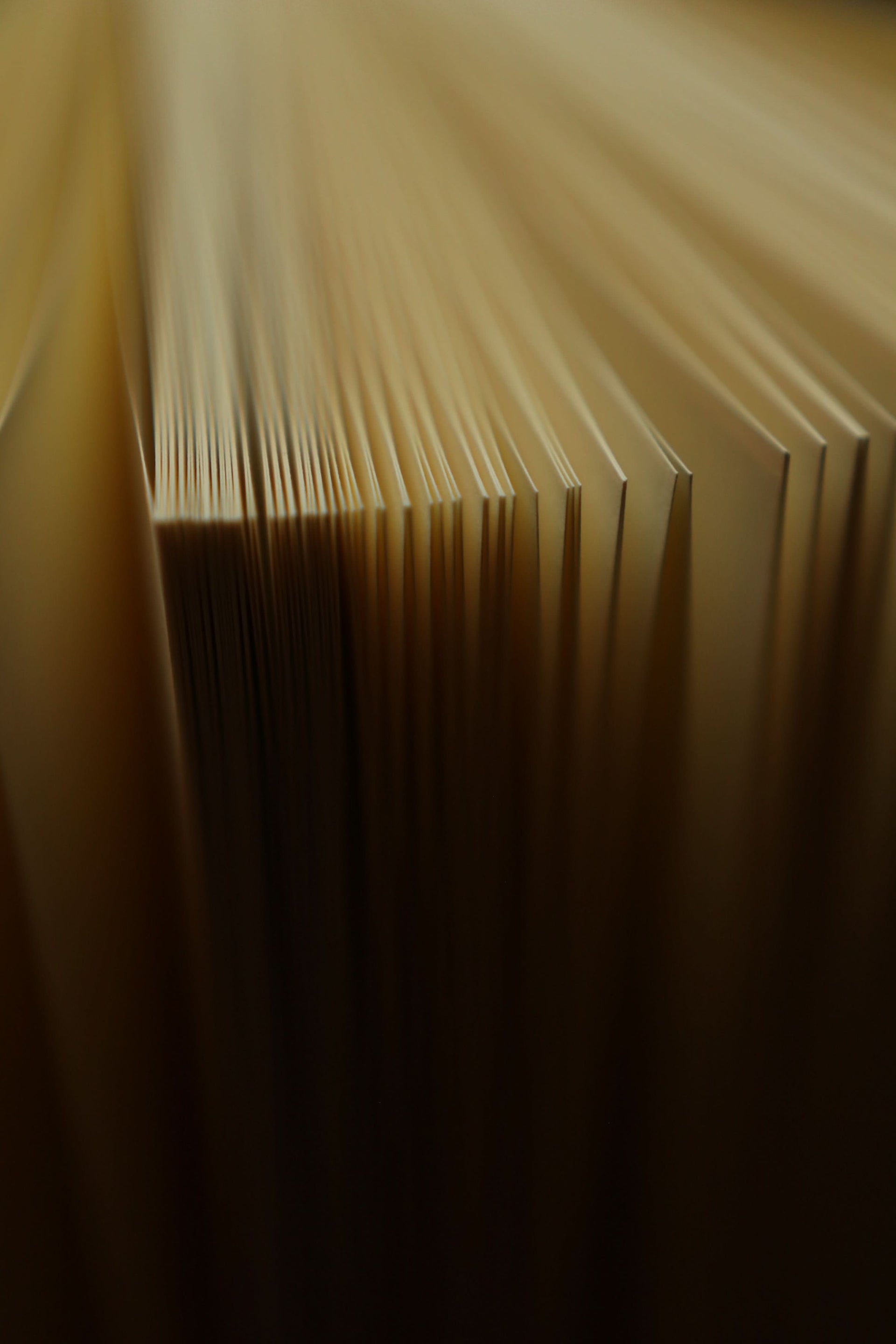 *Burn Book, Mean Girls 2004 Book Journal – Novelbookstore.co