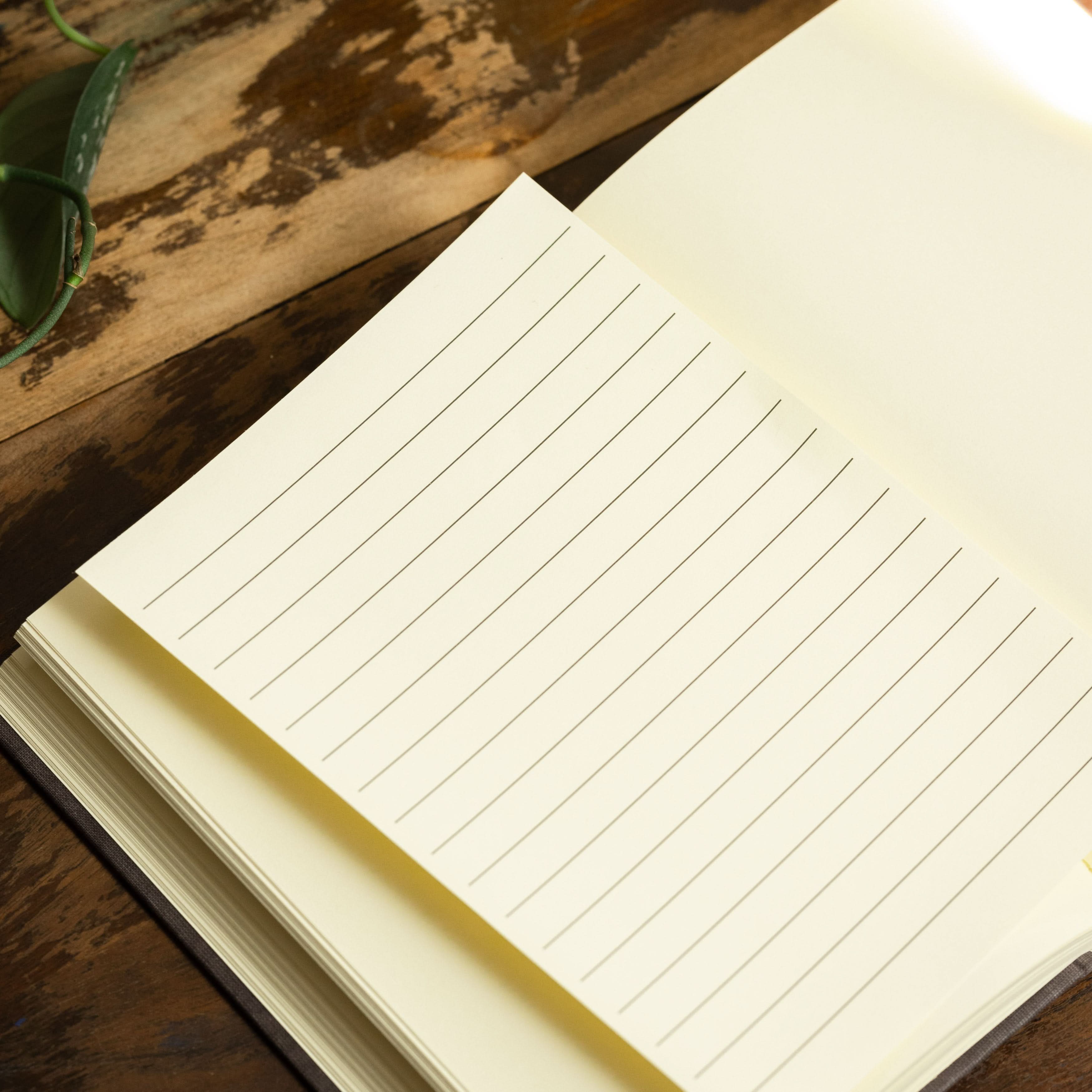 The Book Journal Library – Novelbookstore.co