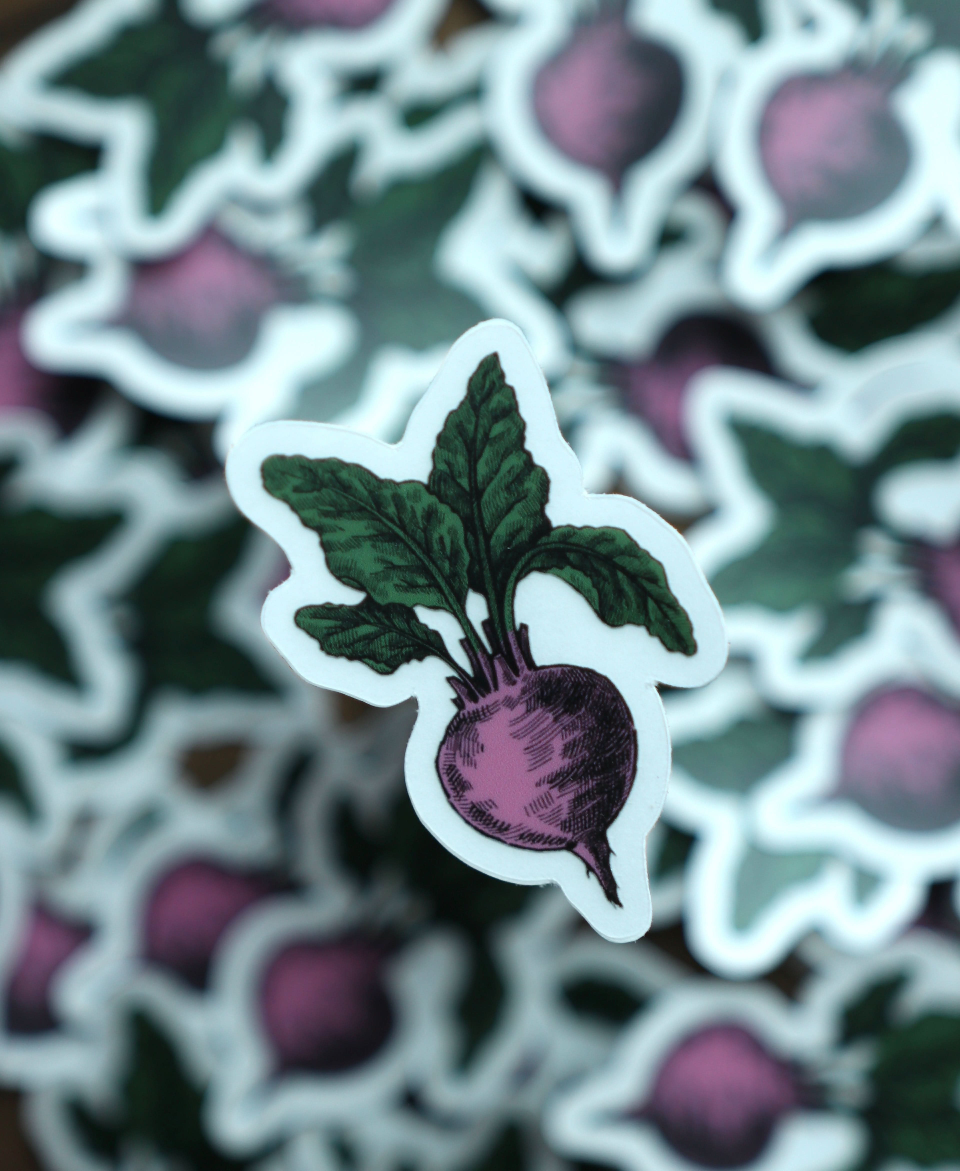 Beet Sticker – Novelbookstore.co